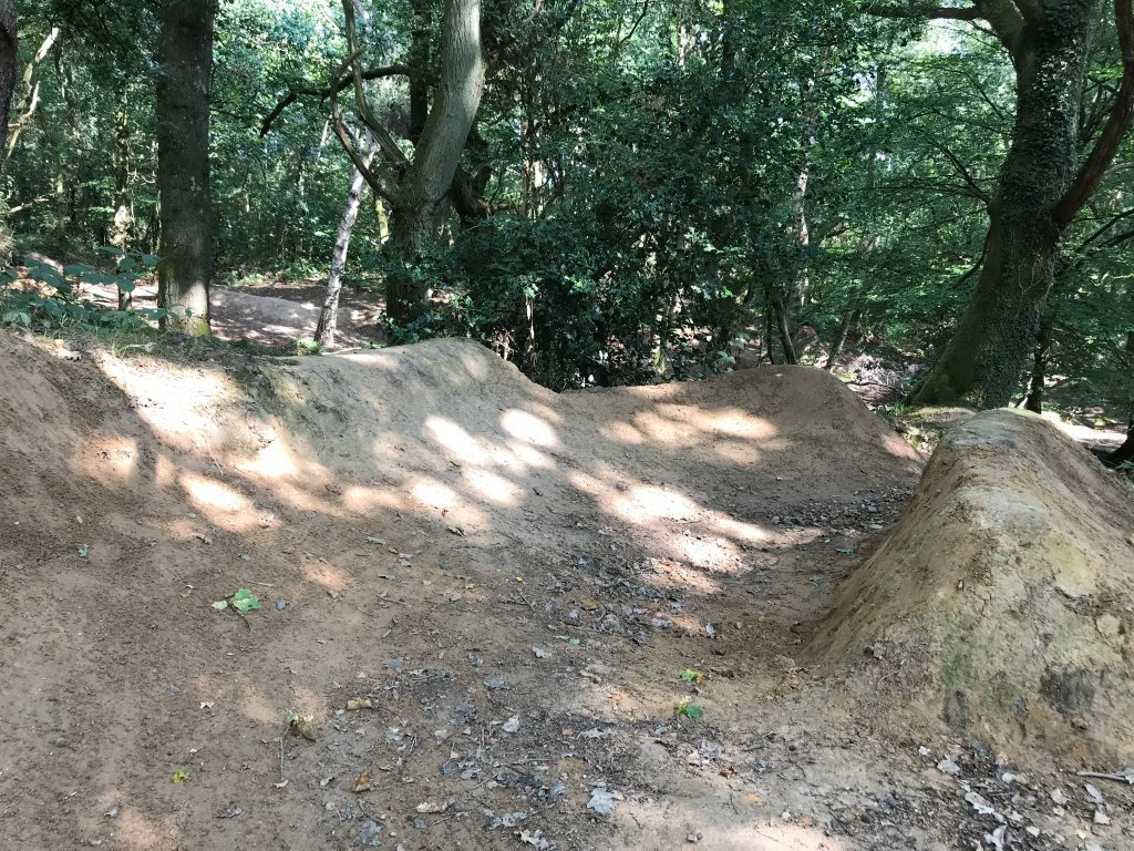 How to go to the toilet in the woods? - Where The Fruit Is